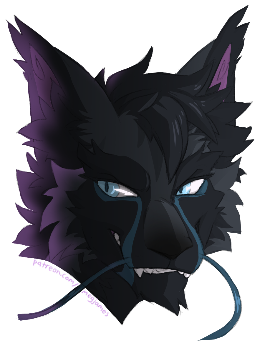Patreon quick draw – Desmond (June 2025) - Meg James